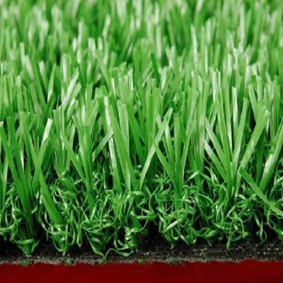 Cina Un pavimento reale dell'interno di plastica dell'erba di colore in vendita