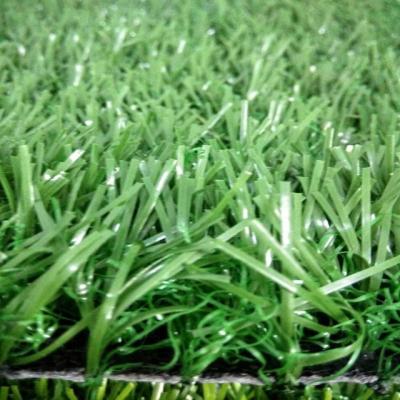 Cina Un pavimento reale dell'interno di plastica dell'erba di colore in vendita