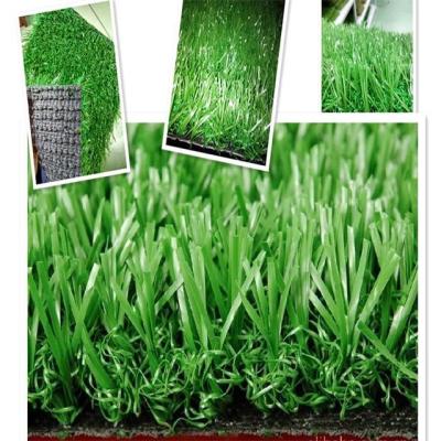 Cina Un pavimento reale dell'interno di plastica dell'erba di colore in vendita