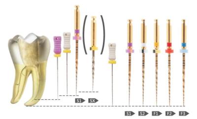 Cina Archivio Endodontic rotatorio Endo Motor Gold Heat Activation di Dorit File Super Root Canal Endo Instruments Dental Endo File in vendita