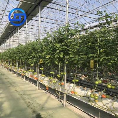 China Agricultural plastic film/ Transparent PO Greenhouse Film can anti-mist for sale
