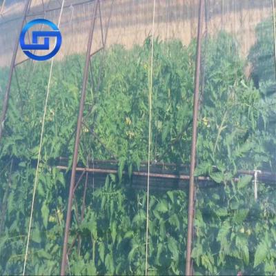 China Cheap price for  PO Greenhouse Film with Five Years Life-span for sale