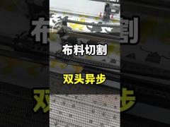 Inteligent Visual Patrol Co2 Textile Laser Cutting Machine With Dual Head