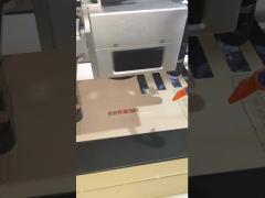 View CO2 150W Integrated Scanning, Marking and Cutting Machine Demo
