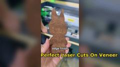 CO₂ Laser Marking and Cutting All - in - One Machine-Tree - grain veneer