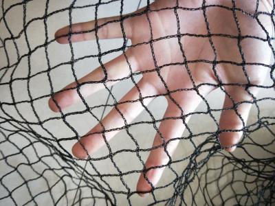 China Plastic knotless monofilament anti bird control netting for sale