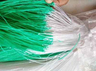 China cucumber mesh netting/plants support net/plants protection mesh net for sale