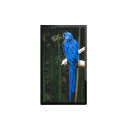 China Android RK3288 32" Signage de 1920x1080 500cd/m2 LCD Digital à venda