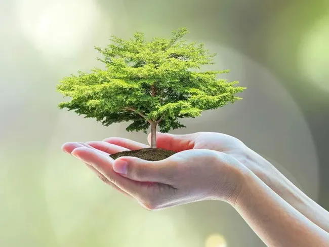 The Furnace Used in The Process of Dipping and Drying (curing) Transformer Coils in The Production of Transformer Industry and Curing After Epoxy Resin Pouring.