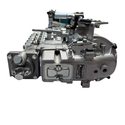 China Spot Goods Fuel Injection Pump 612601080138 BHT6P120R for WEICHAI WD615.67 Diesel Engine Spare Parts Construction Machinery for sale