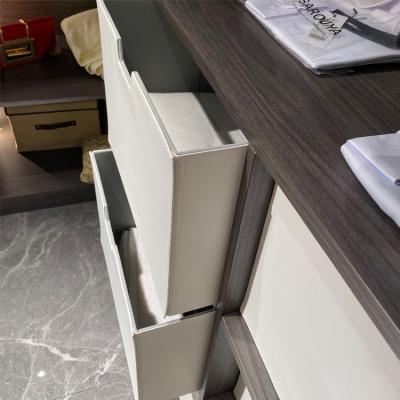 China Luxeoem trekken de Modulaire Kabinetstoebehoren de Lade van de Garderobekast terug Te koop