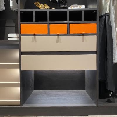China Luxeoem trekken de Modulaire Kabinetstoebehoren de Lade van de Garderobekast terug Te koop