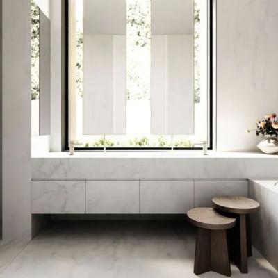 Cina Il Governo moderno di vanità del bagno di acciaio inossidabile impermeabilizza in vendita
