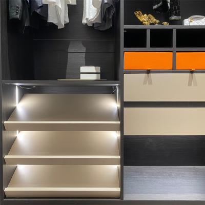 Cina Camera da letto moderna con la passeggiata nei gabinetti moderni del guardaroba della mobilia domestica del gabinetto in vendita