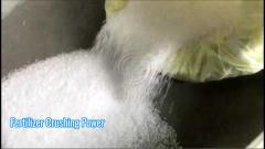 Ammonium Sulfate Organic Compound Fertilizer Urea Crushing Equipment
