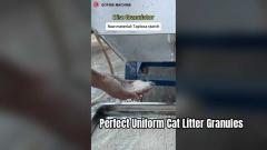 Test Run: Cassava Starch Granulation, Uniform 1–2mm Cat Litter Particles