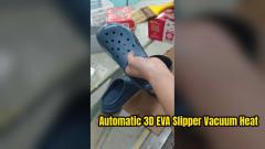 Automatic 3D EVA Slipper Vacuum Heat Transfer Printing Machine Key Components with Gear and Bearing