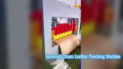 Automatic Foam Sheet Punching Machine Nonwoven Fabric Leather Sponge Perforating Machine