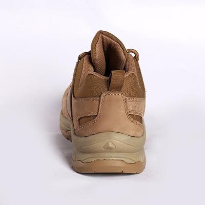 China Sneaker Blade Running Walking Men Sport Shoes Comfortable Breathable Casual for sale