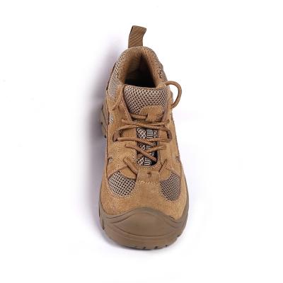 Cina Confortevole Unisex Mesh Microfibra Pelle Materiale superiore di gomma Marrone Scarpe di sicurezza traspiranti in vendita