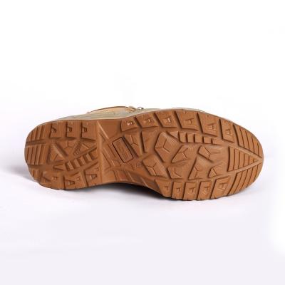 Cina Shengjie Stoffa a maglia traspirante Scarpe leggere in pelle di mucca con suola esterna in gomma PU resistente Scarpe da esterno di alta qualità in vendita