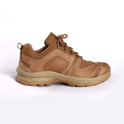 China Metalen oogleden met kantensnoer, Oxford stoffen schoenen met duurzame PU buitenzolen, ademende buitenschoenen Te koop