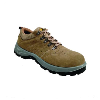 Cina USD7-9 Scarpe protettive con top basso tipo di chiusura a pizzo in vendita