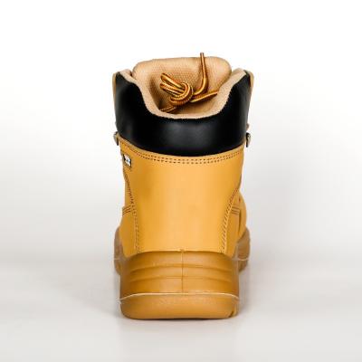 Κίνα Προστατευτικές Australian Safety Boots Νέο σχεδιασμό παπούτσια Νάιλον ύφασμα Gusset γλώσσα CE πιστοποιημένο καπάκι δακτύλου προς πώληση