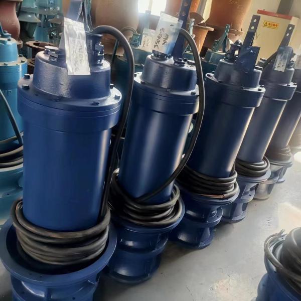 Quality Vertical and Horizontal Pump Large Capacity Axial Flow Pump Submersible Pump for sale