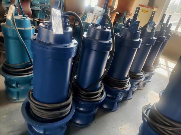 Quality Vertical and Horizontal Pump Large Capacity Axial Flow Pump Submersible Pump for sale