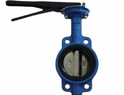 China wafer style butterfly valve installation for sale