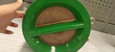 China Marine Dual check valve for sale