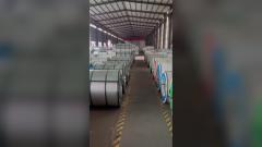 Color Galvanized Steel Coil