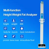 China Digital Height Weight Body Composition Analyzer Machine Height Weight Scale for sale