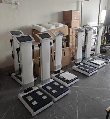 Cina Intelligent Body Composition Analyzer Fat Analysis Machine by Bioelectrical Impedance in vendita
