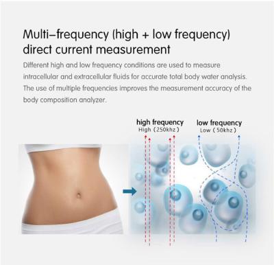 中国 Intelligent Body Composition Analyzer Fat Analysis Machine by Bioelectrical Impedance 販売のため
