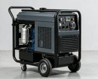 China 220V Mini diesel generator set with compact design and durable performance for small workshops for sale