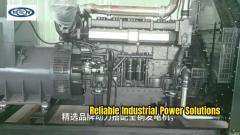 Reliable Diesel Generators 3kW to 2000kW Industrial Power