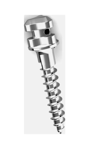 ウェストレイク矯正 ミニスクリュー チタン合金 1.4x6 1.4x8 1.6x10 1.4x12