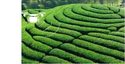 Cina Drone per la spruzzatura di pesticidi con collegamento a filo interno TPU in vendita