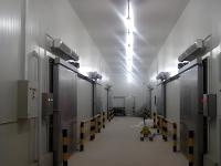 Quality Durable Bitzer Cold Room Freezer With Digital Temperature Controller for sale
