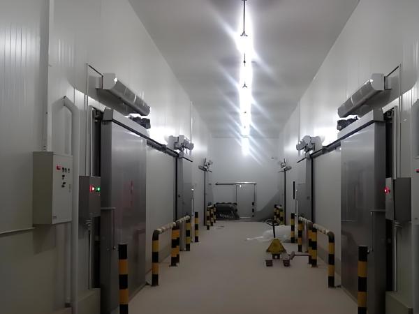 Quality Durable Bitzer Cold Room Freezer With Digital Temperature Controller for sale