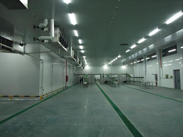 Quality Energy Saving Container Cold Room Custom Cooling Capacity With Hinged / Sliding Door for sale
