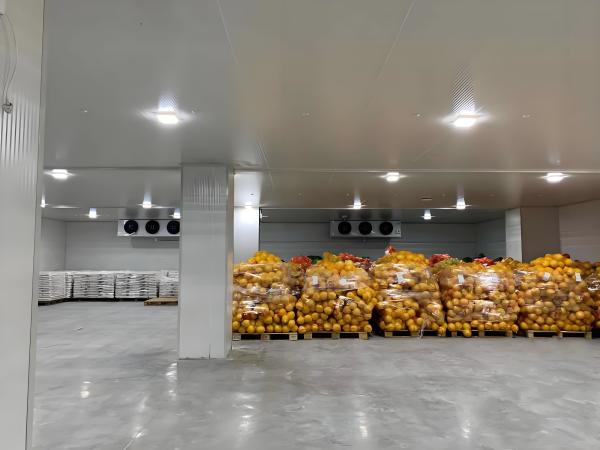 Ψυγείο αποθήκευσης από ανοξείδωτο χάλυβα Bitzer με σύστημα άμεσης επέκτασης