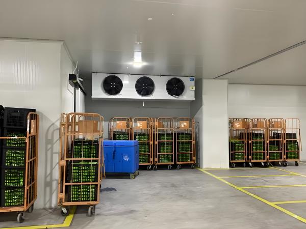 10m3-1000m3 Freezer Cold Room With LED Light And Digital Temperature Controller