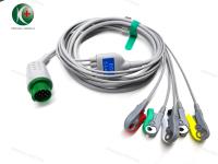 China Compatible Biolight Mtype 12Pin ECG Cable for sale
