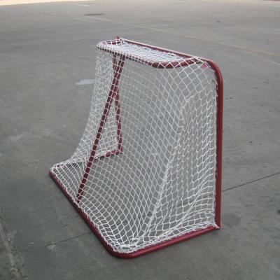 Cina Le reti resistenti del hockey su prato ghiacciano l'obiettivo hanno messo 48