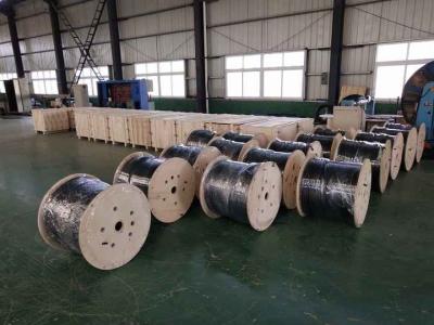 Cina 304 316 metropolitana di tempera della bobina dell'acciaio inossidabile di ASTM A213 in vendita