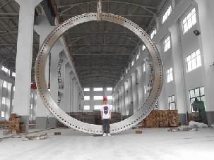 China Iso Torich Forging 304 Stainless Steel Od 3000mm for sale