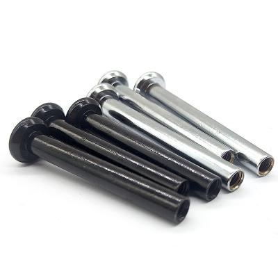 China Electroplated Surface Cold Forged Parts Precision Stainless Steel Brass Cold Forged Bolts for sale